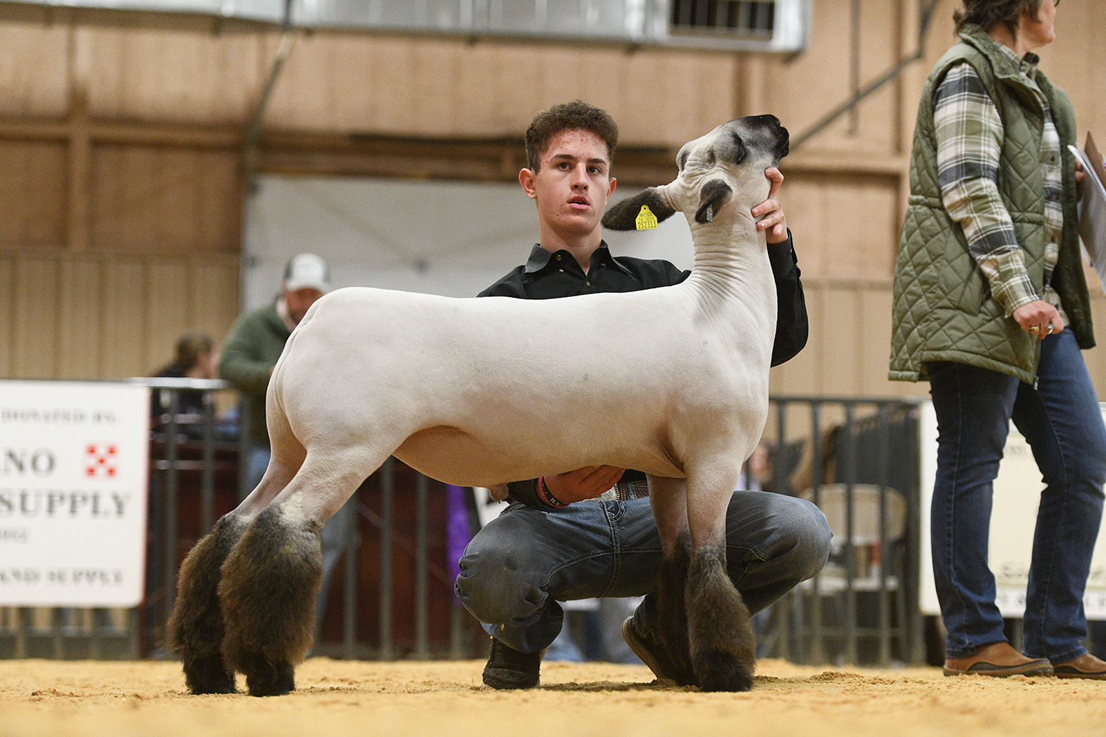 Hill District Grandstand - Building a Tradition of Excellence :: Hill District Grandstand