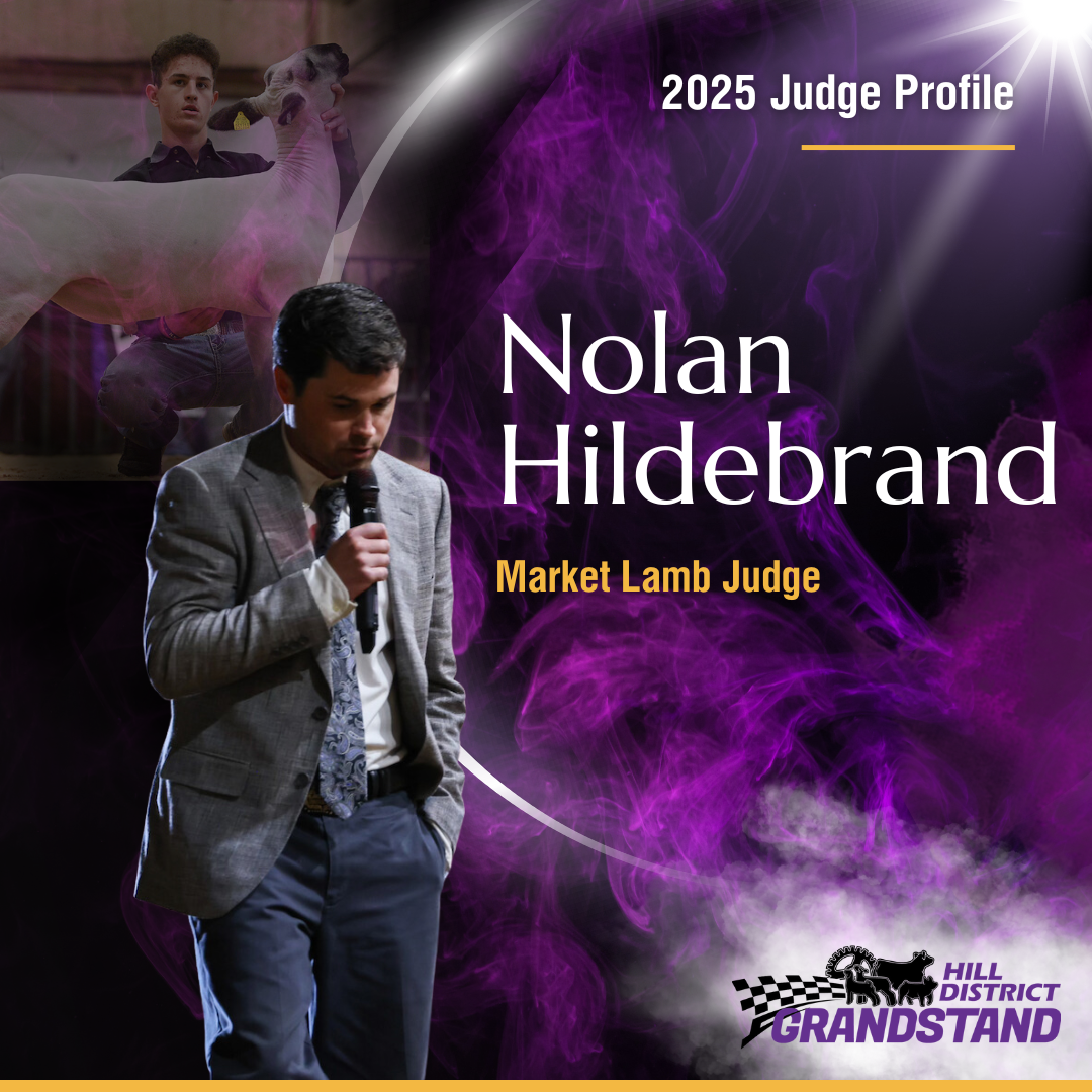 Introducing Nolan Hildebrand as the 2025 HDGS Market Lamb Judge :: Hill ...