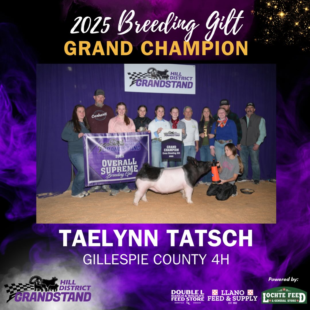 Taelynn Tatsch: 2025 Champion Breeding Gilt Winner - Hill District ...
