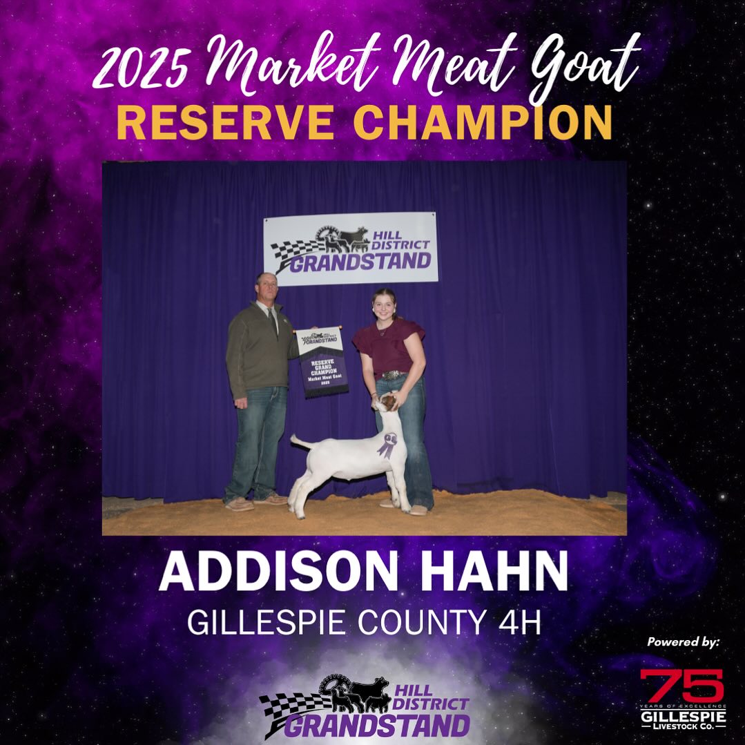 Addison Hahn: Reserve Champion Market Meat Goat - Hill District Grandstand