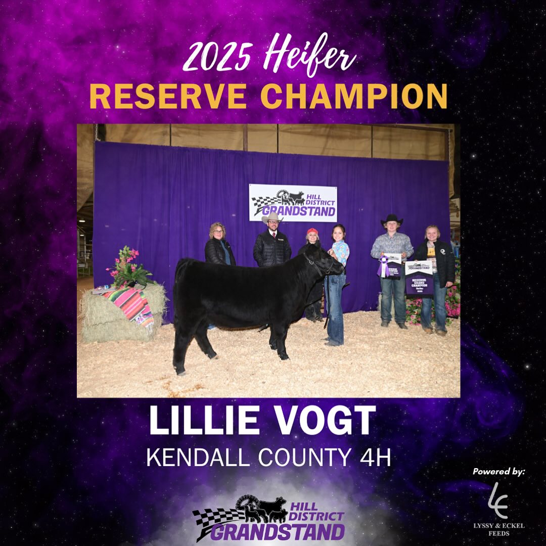 Lillie Vogt: Champion American Heifer and Reserve Champion Heifer ...