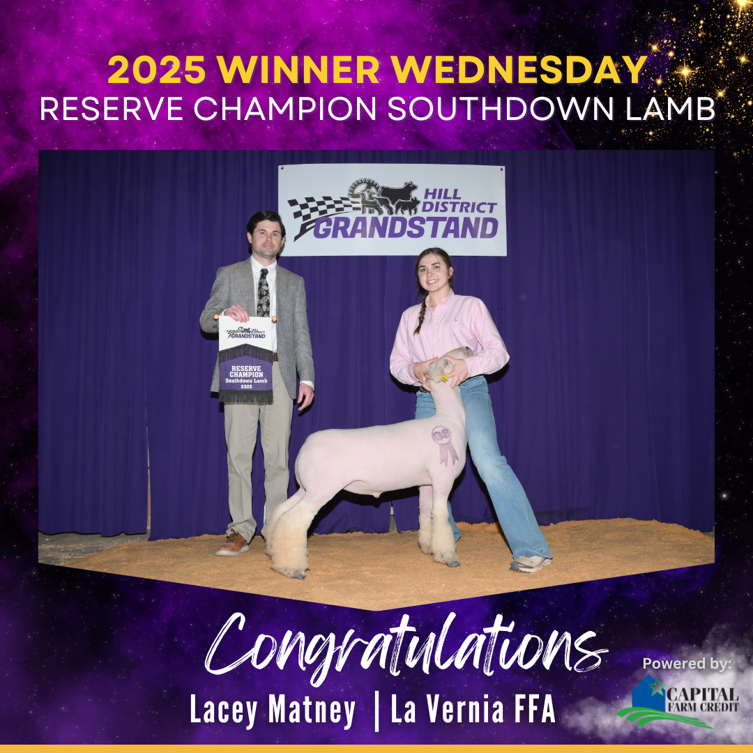 Lacey Matney: 2025 Reserve Champion Southdown Lamb - Hill District ...