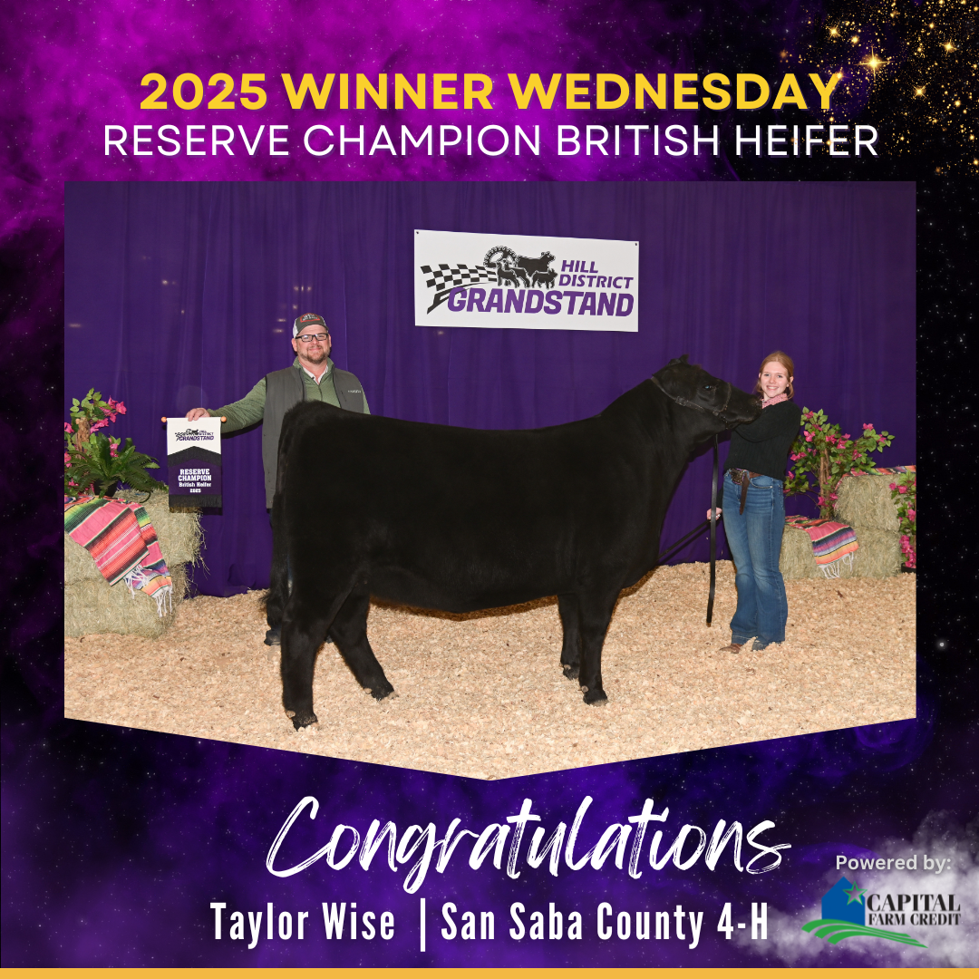 Taylor Wise: 2025 Class 8 Reserve Champion British Heifer - Hill ...