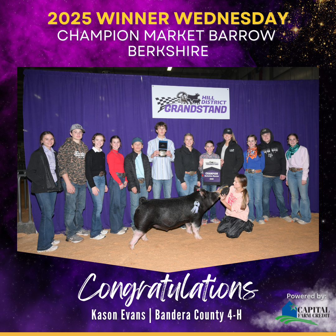 Kason Evans: 2025 Champion Market Berkshire Barrow - Hill District ...