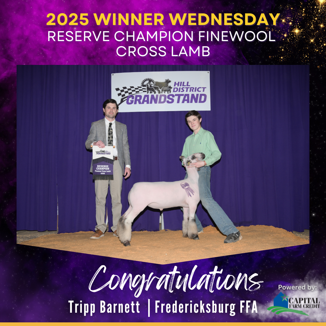 Tripp Barnett: 2025 Reserve Champion Finewool Cross Lamb - Hill ...